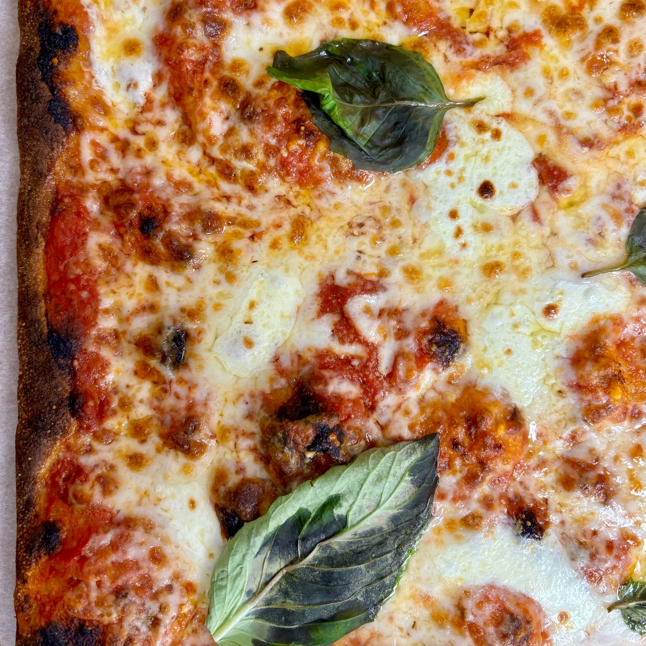 Home About Gift Cards PIZZA SPINELLO CATERING FAQ Gift card More